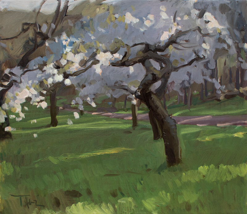 tomas-honz-dsc-0001web-2.jpg (800×692)-花瓣网