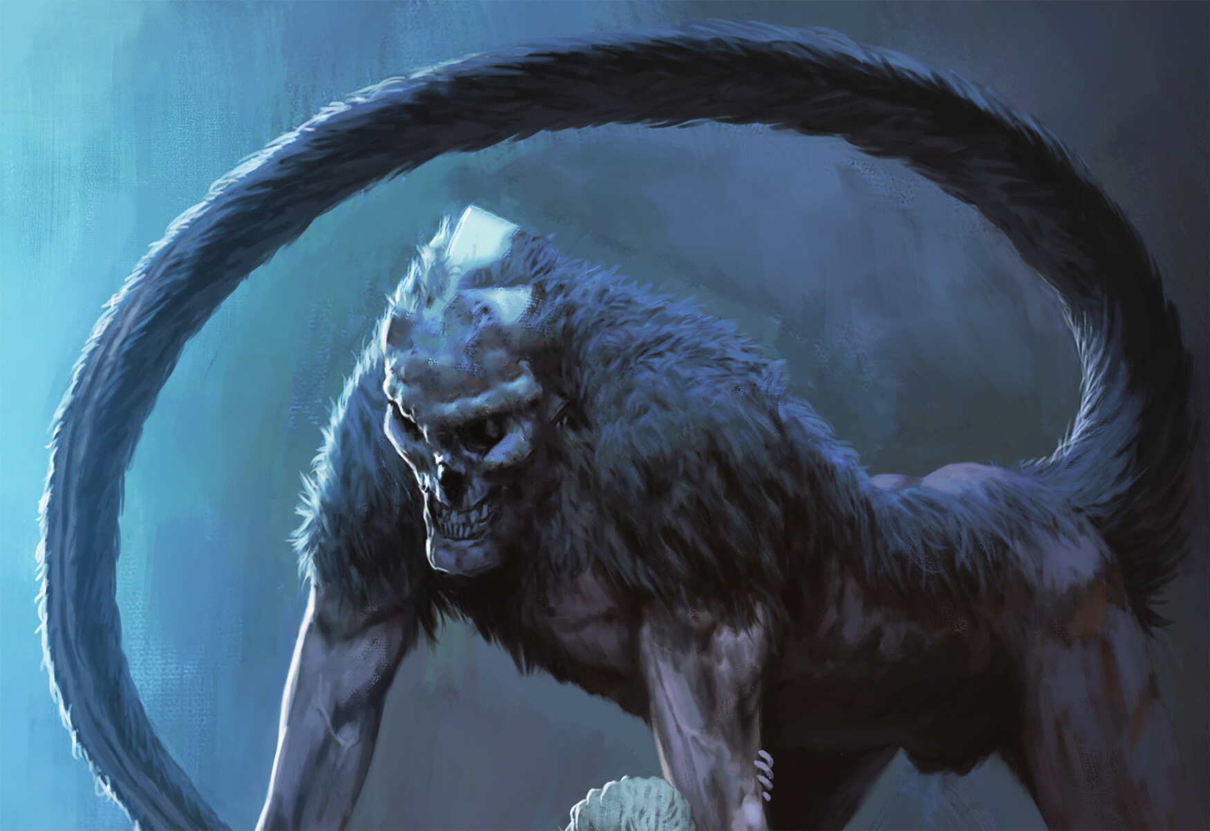 Arb Paninken - King Kong