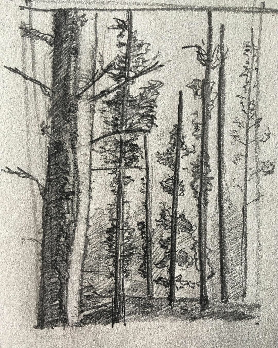 ArtStation - Boreal Forest