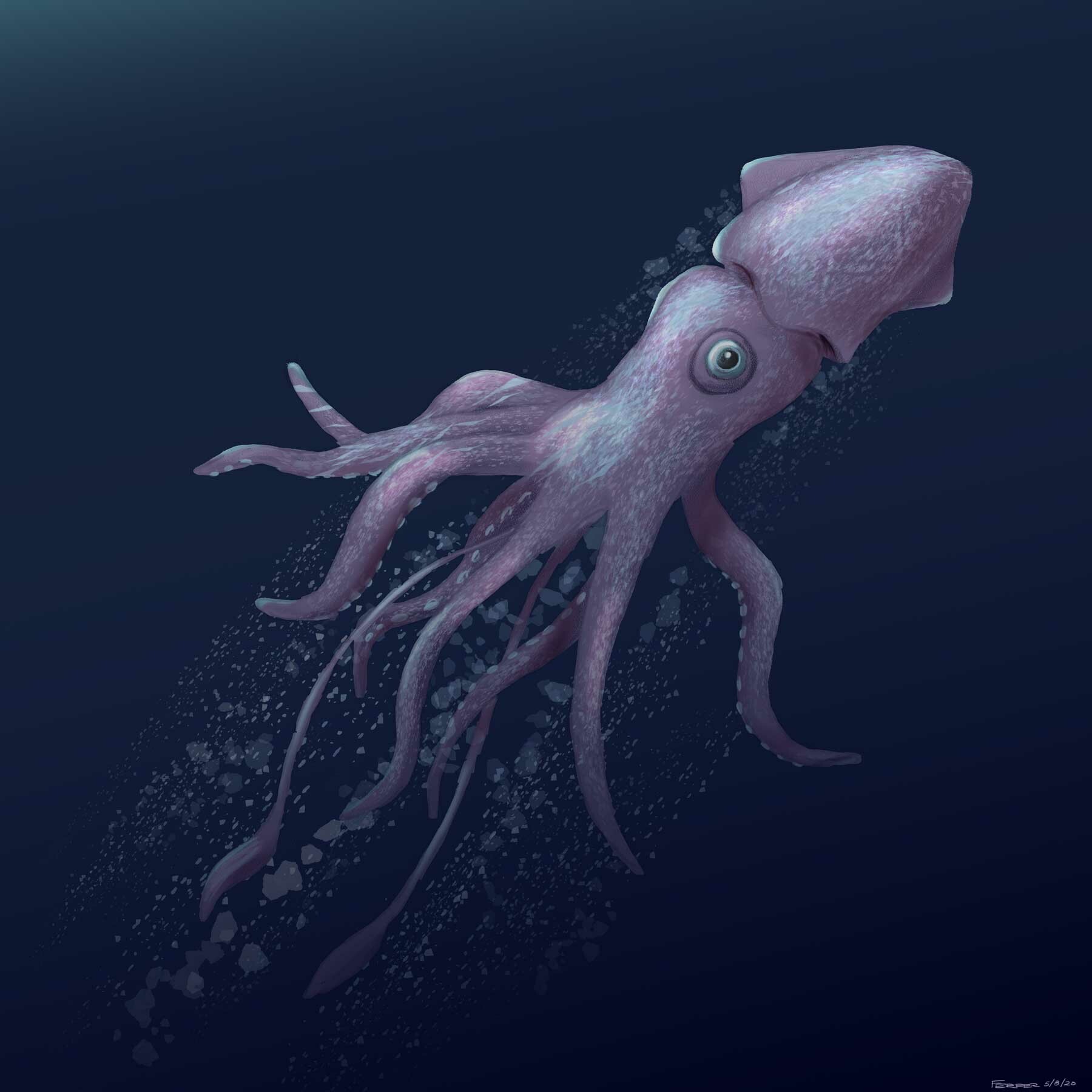 ArtStation - SQUID