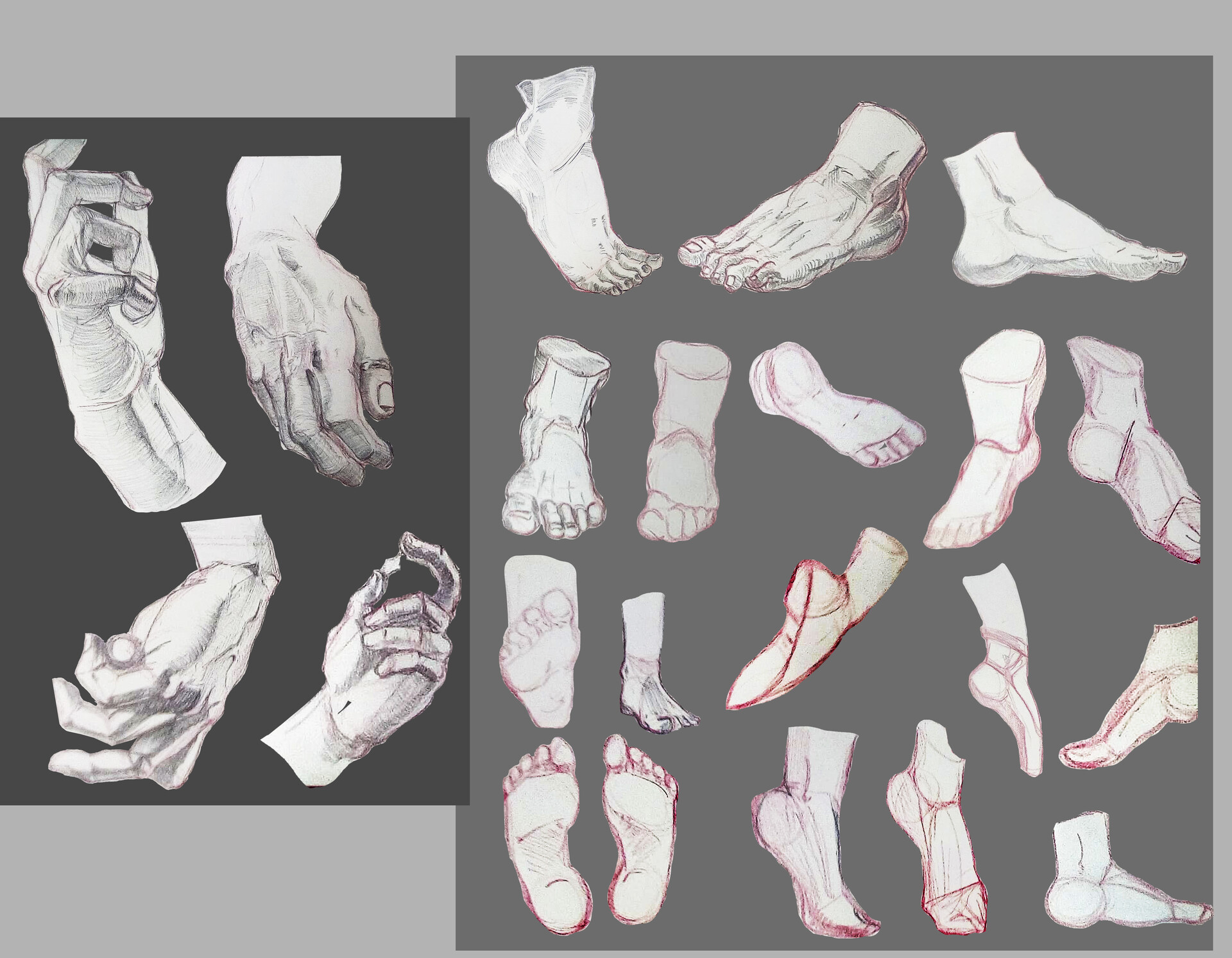 ArtStation - Anatomy practice, Hands and feet