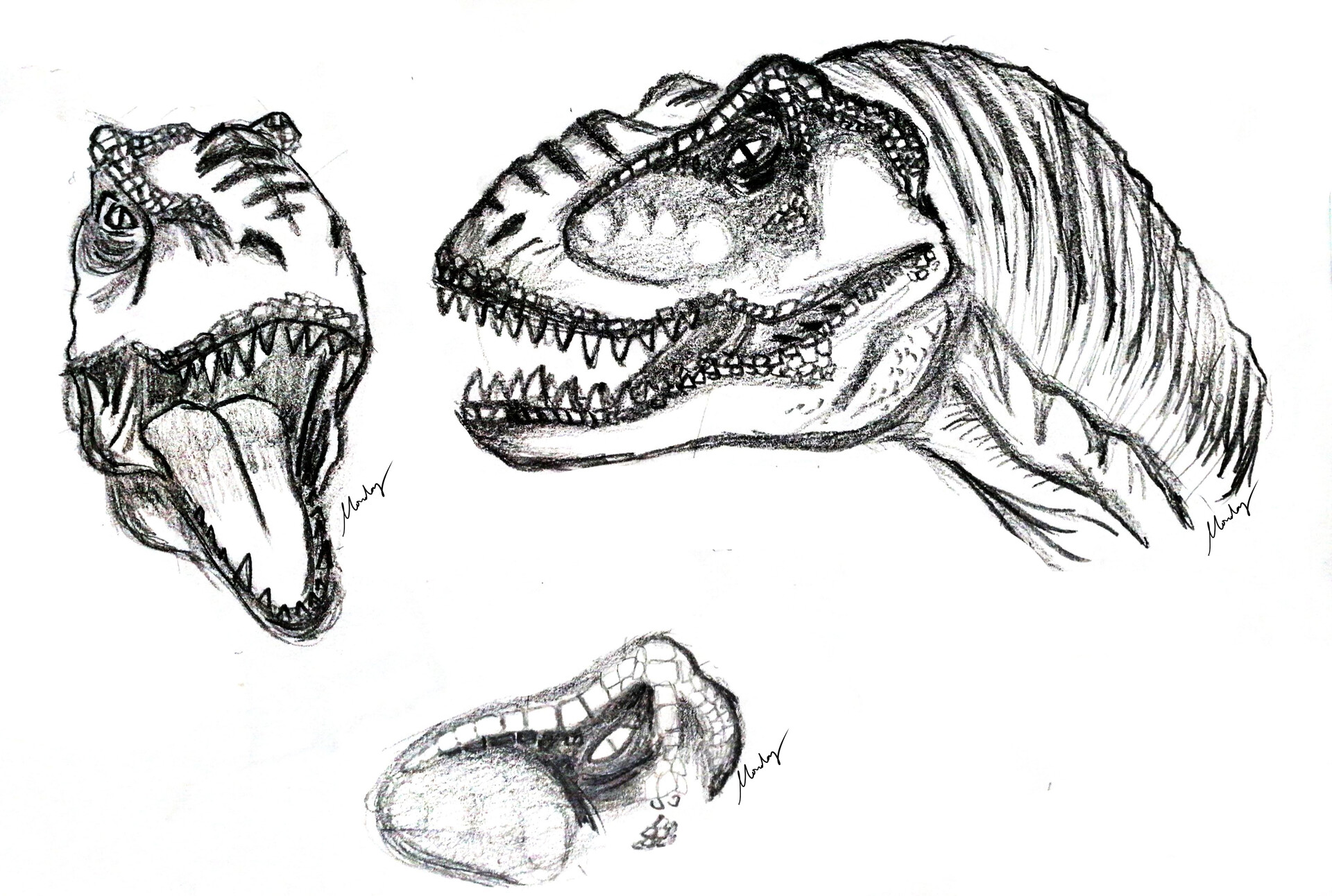 dinosaur skull coloring page