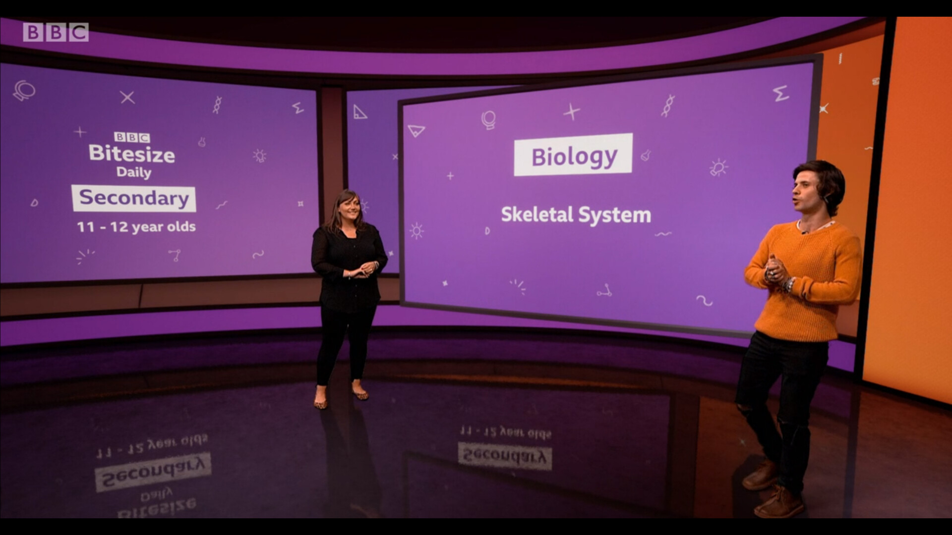 human anatomy bbc bitesize