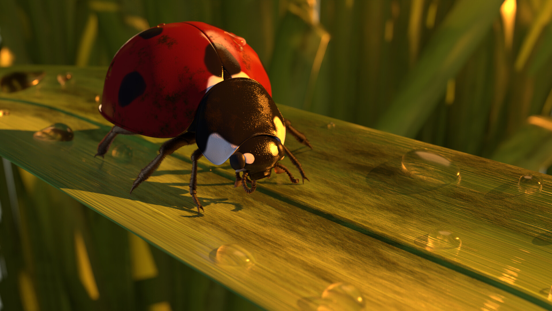 ArtStation - Insect Ladybug