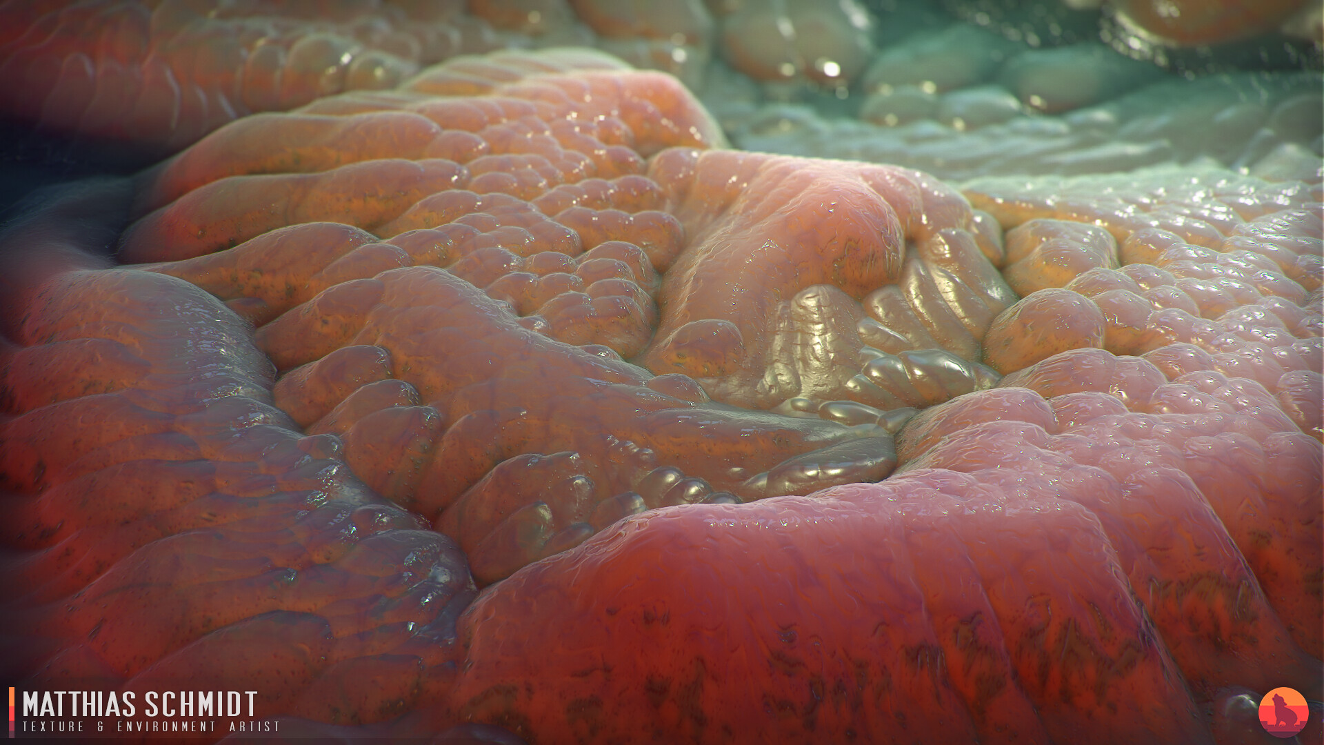 Matthias Schmidt - Alien Jelly Lifeform - Substance