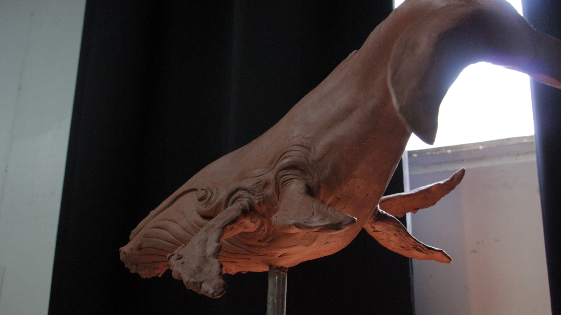 ArtStation - Flying Whale