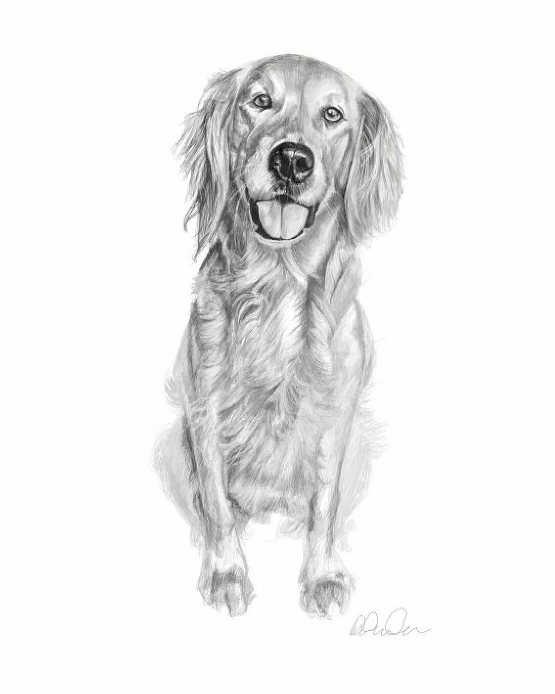 ArtStation - Dog portrait