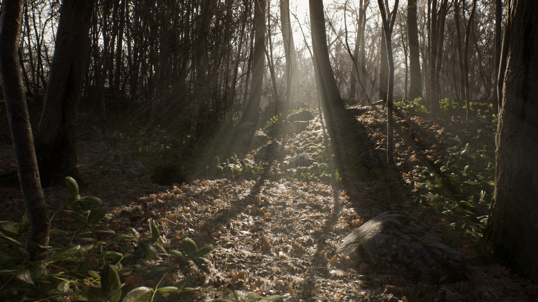 Robert Berg - Wind's Howling, Procedural UE4 Environment