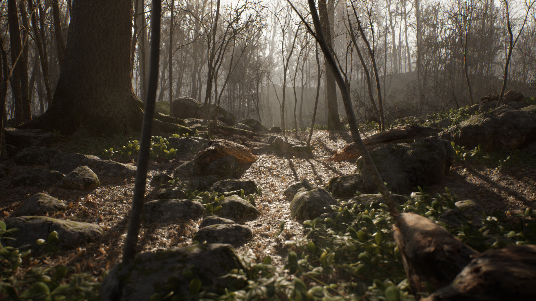 Robert Berg - Wind's Howling, Procedural UE4 Environment