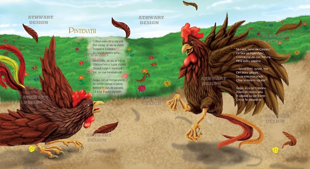 Stefan Filotti - Roosters Fighting