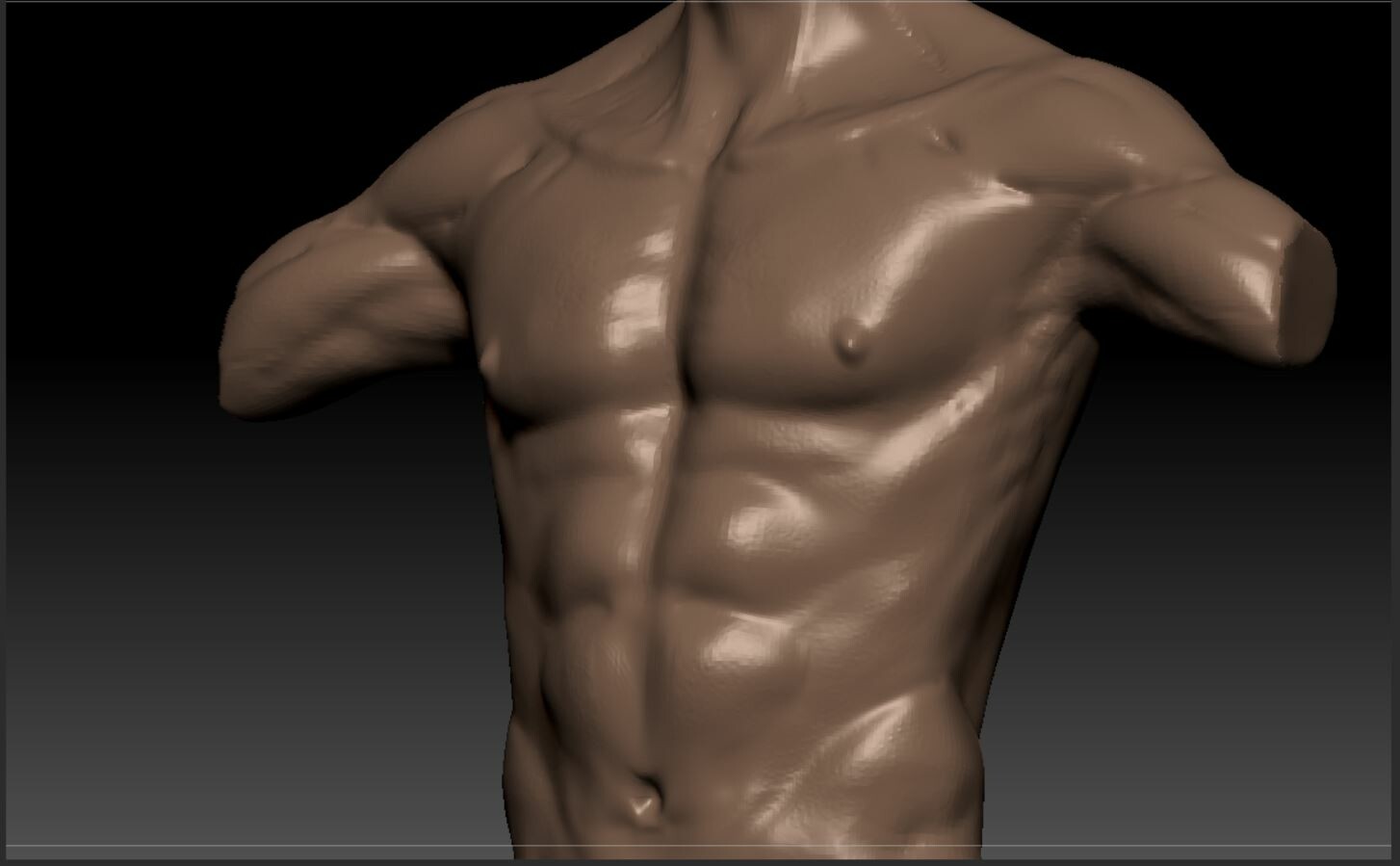 ArtStation - Anatomy