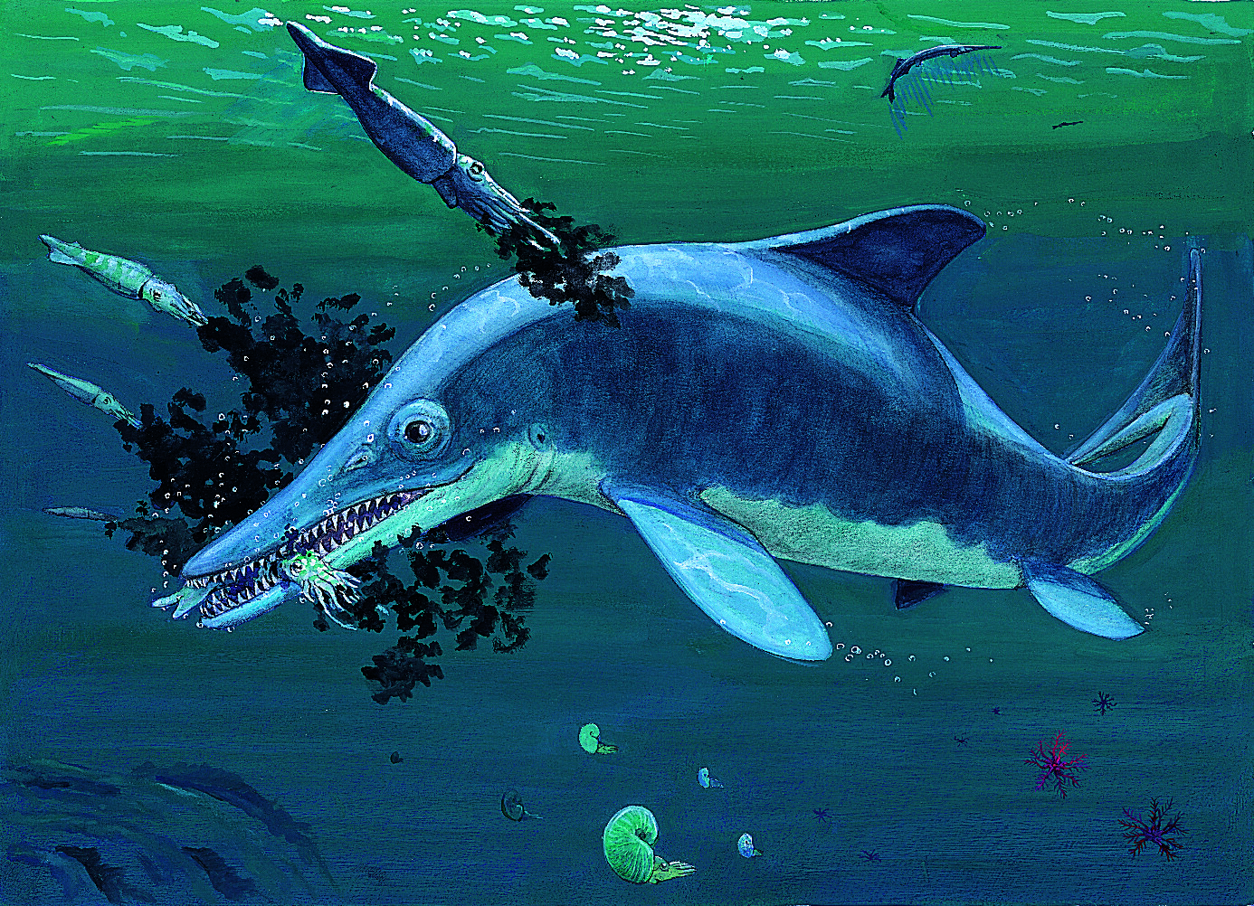 ArtStation - Ichthyosaurus of Frasassi (Central Italy)
