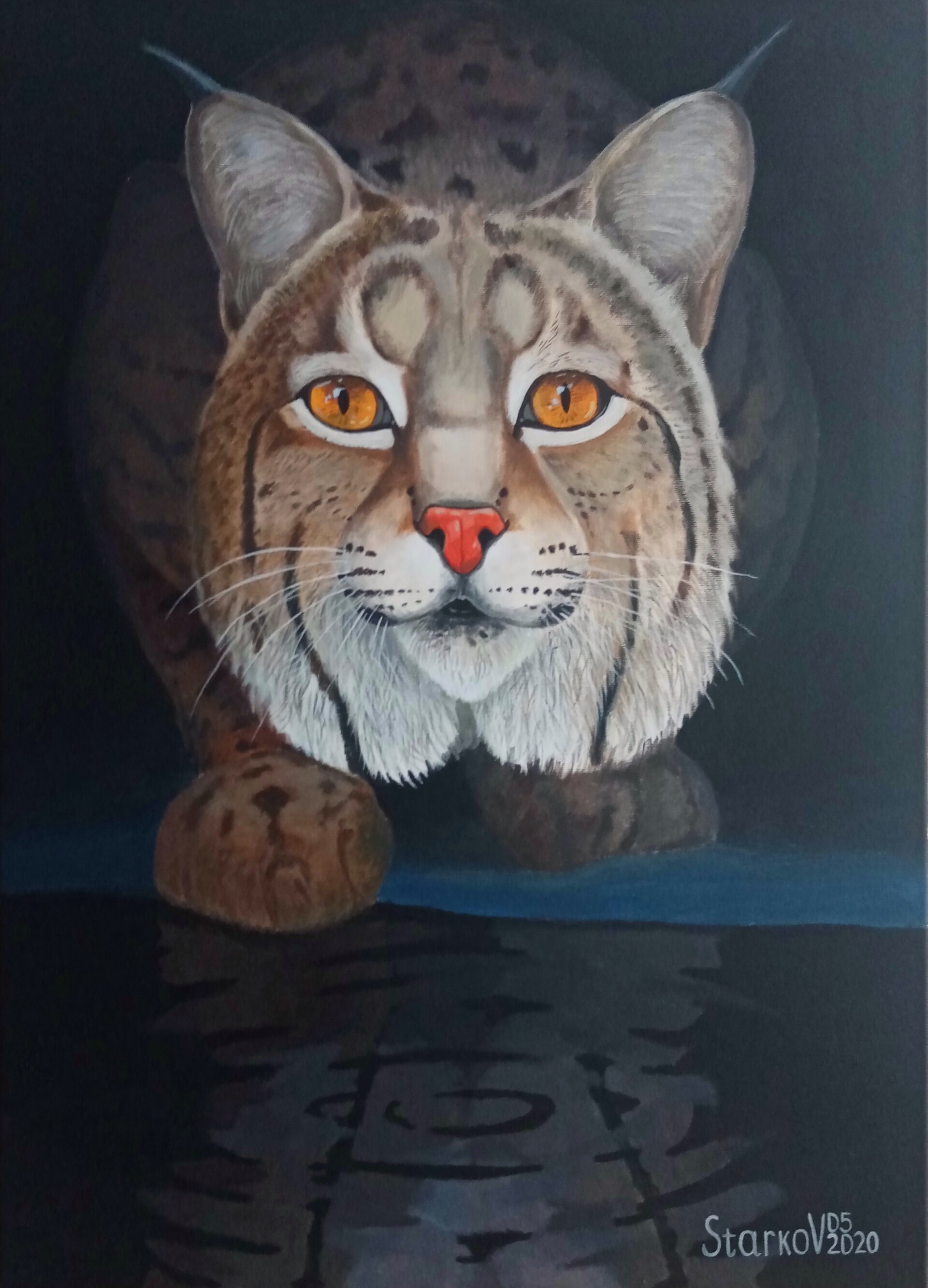 ArtStation - Lynx, acrylic on canvas 60x80 cm