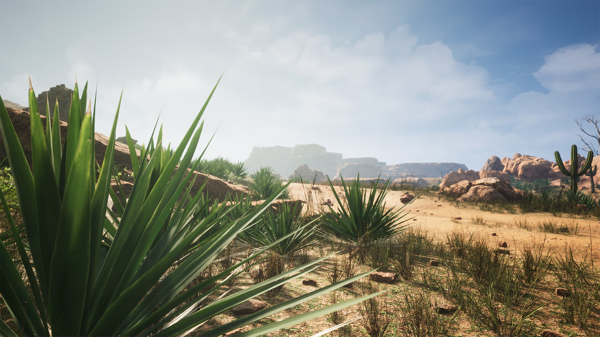 ArtStation - Desert environment [UE4]