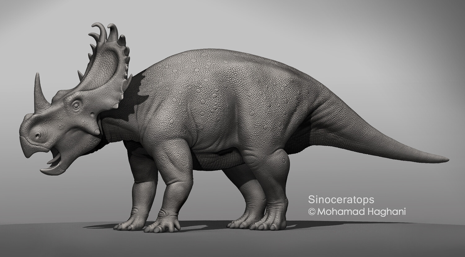 sinoceratops
