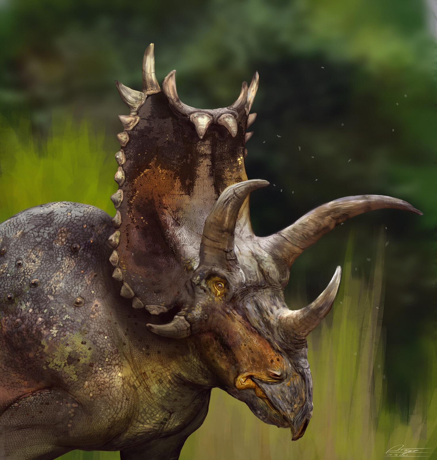 Anthony Hutchings - Ceratopsian Dinosaur Collection 2020