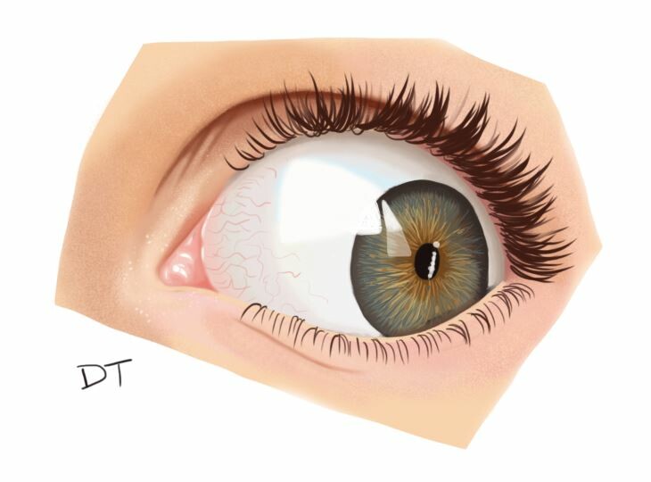 ArtStation - Eye Studies