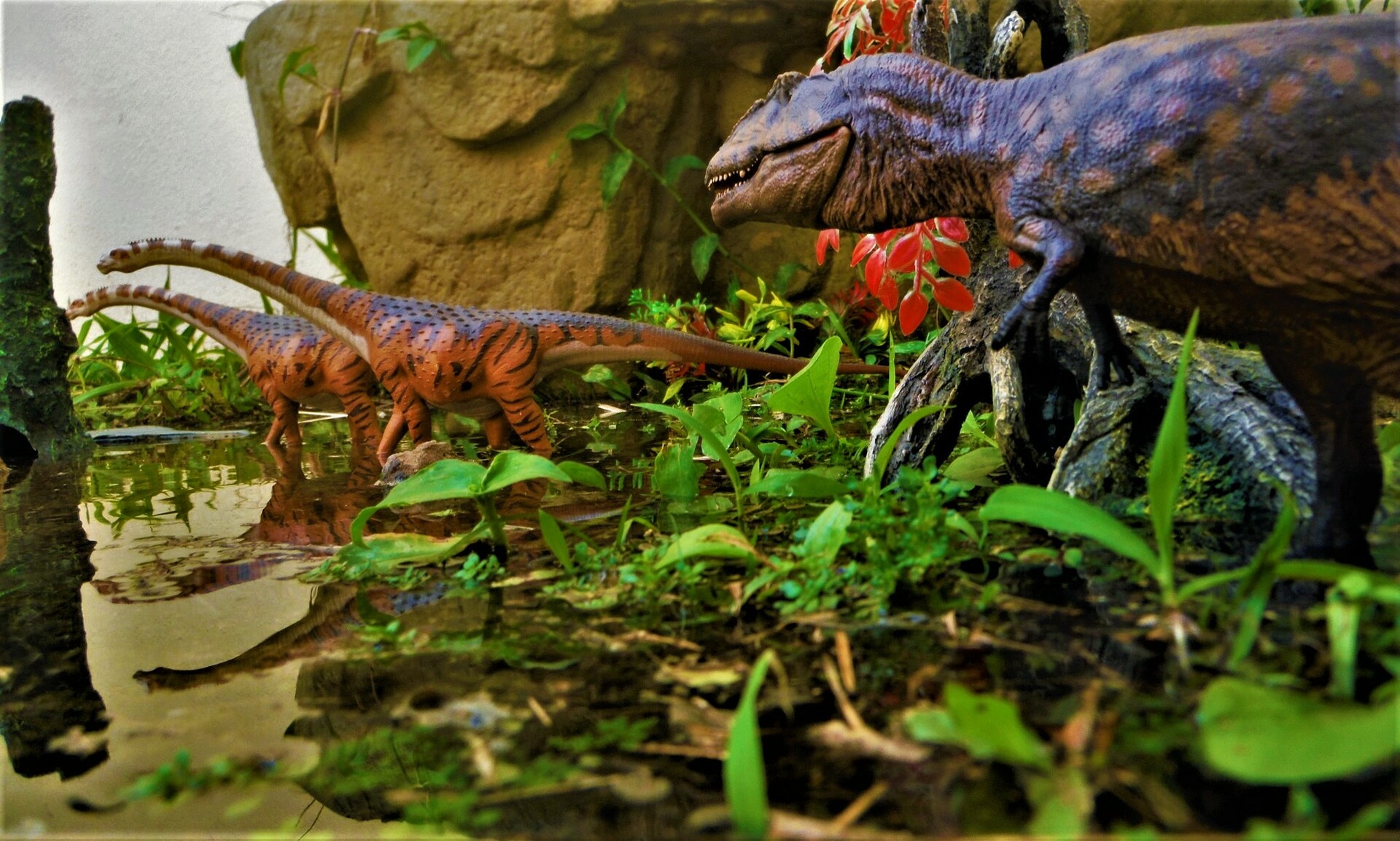 Jose R. Vazquez Rodriguez - South American Predator II