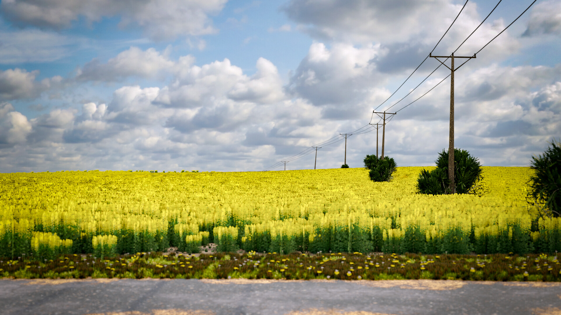 ArtStation - Boring rape field
