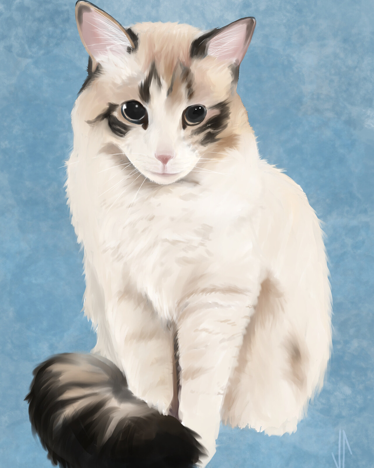 Joseph Ricci - Mille the cat