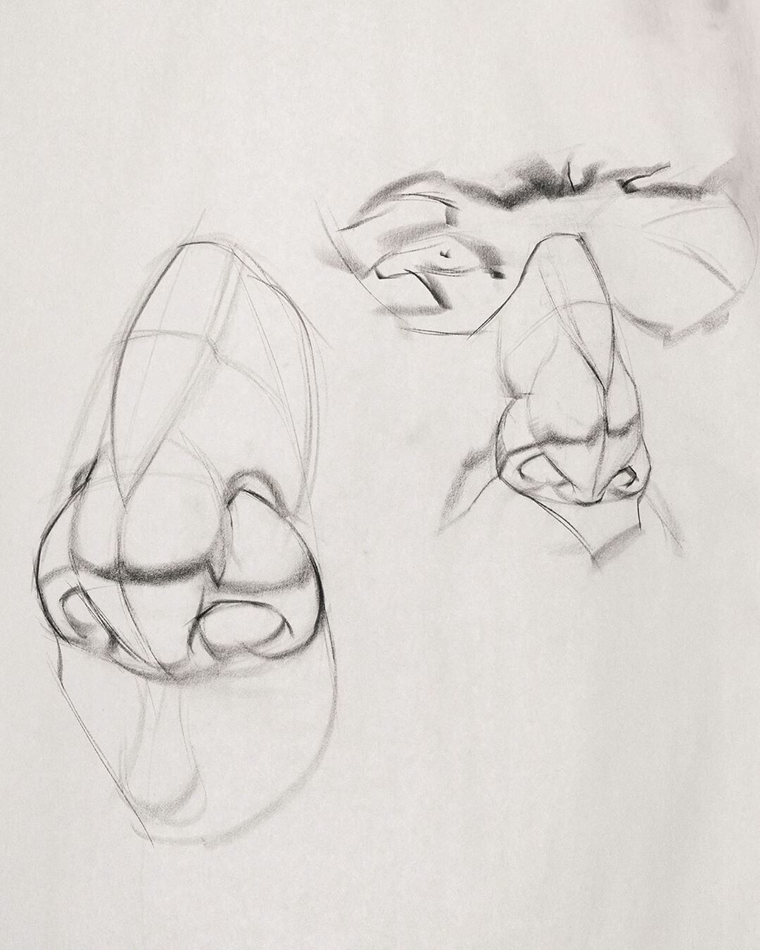 how to draw nose proko