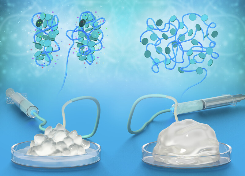 ArtStation - Sciellus S