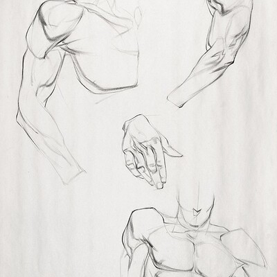 Stan Prokopenko - Portfolio