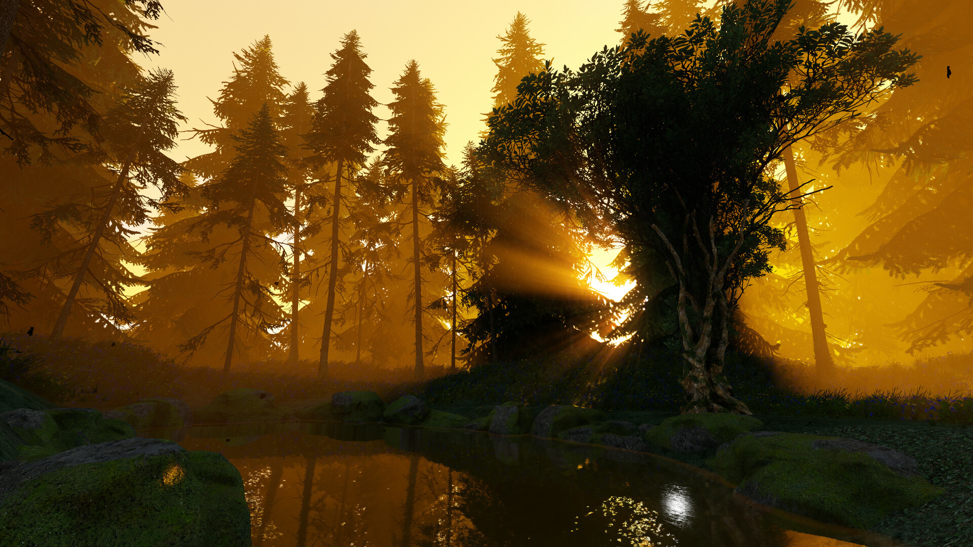 ArtStation - Forest sunset - Cryengine V