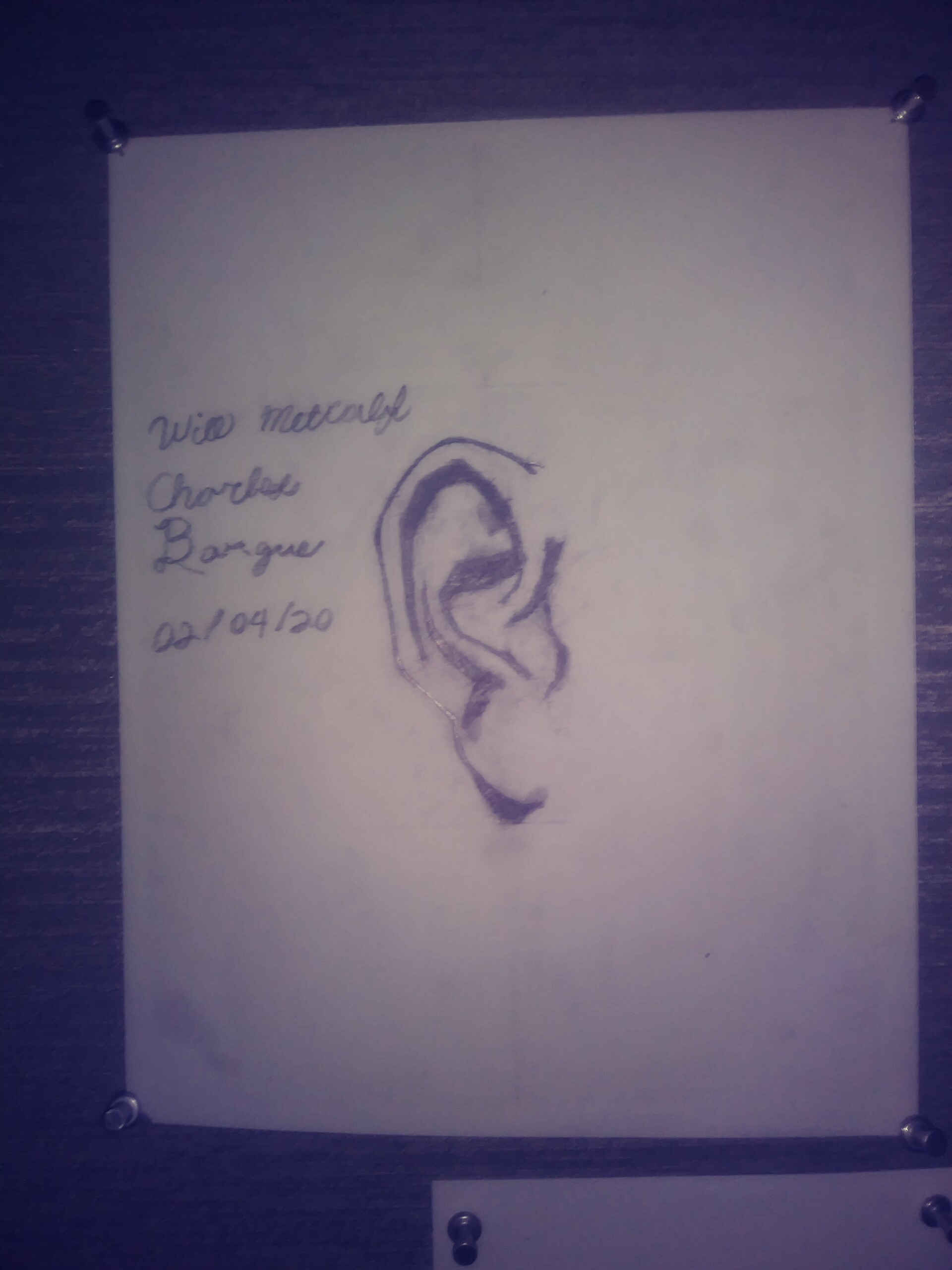 ArtStation - Bargue Ear- Will Metcalf