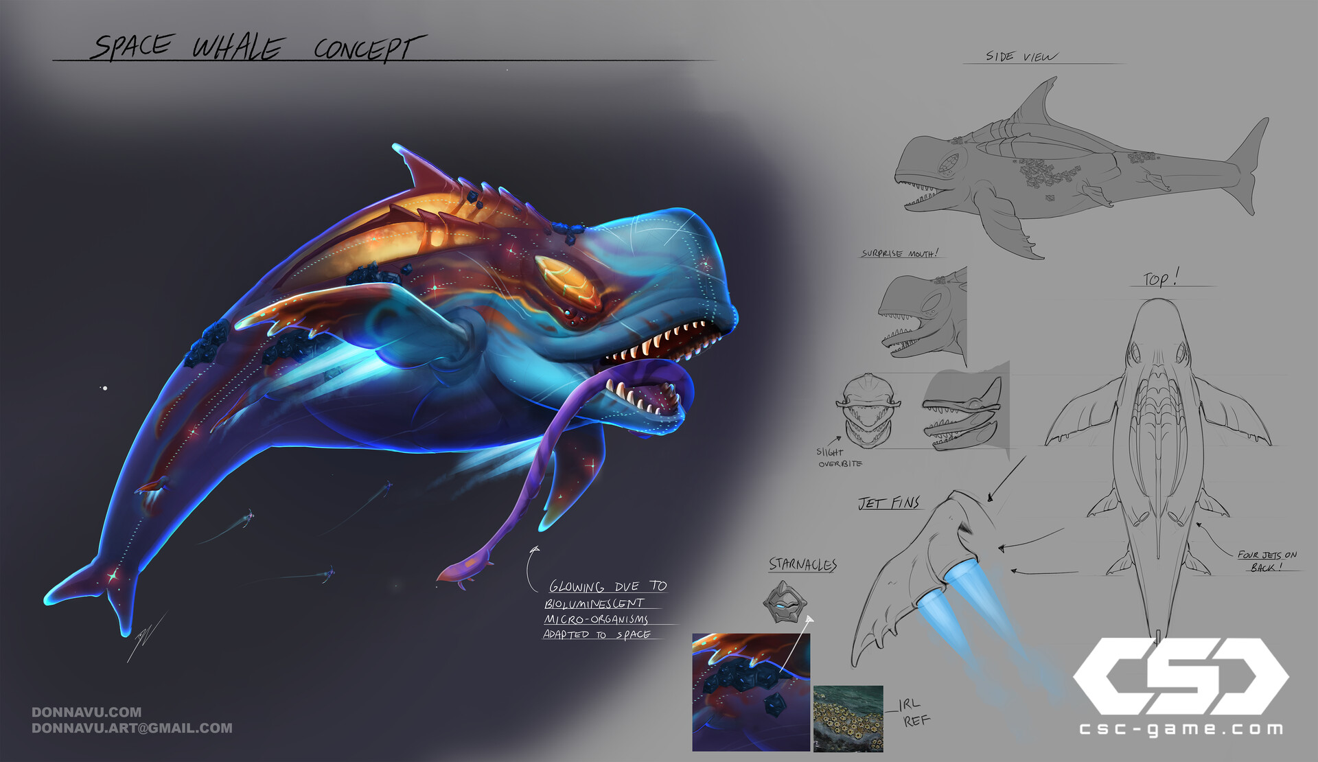 4th dimensional space whale