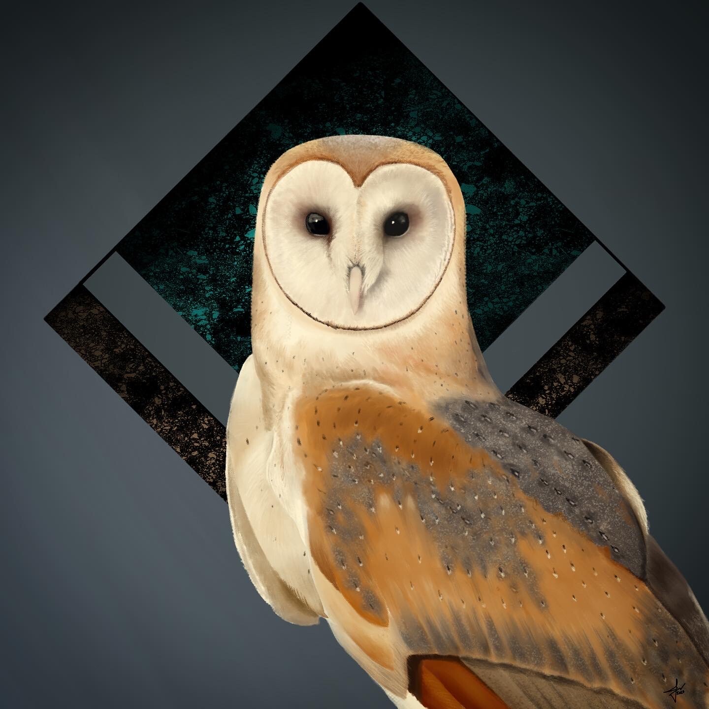 ArtStation - Barn owl