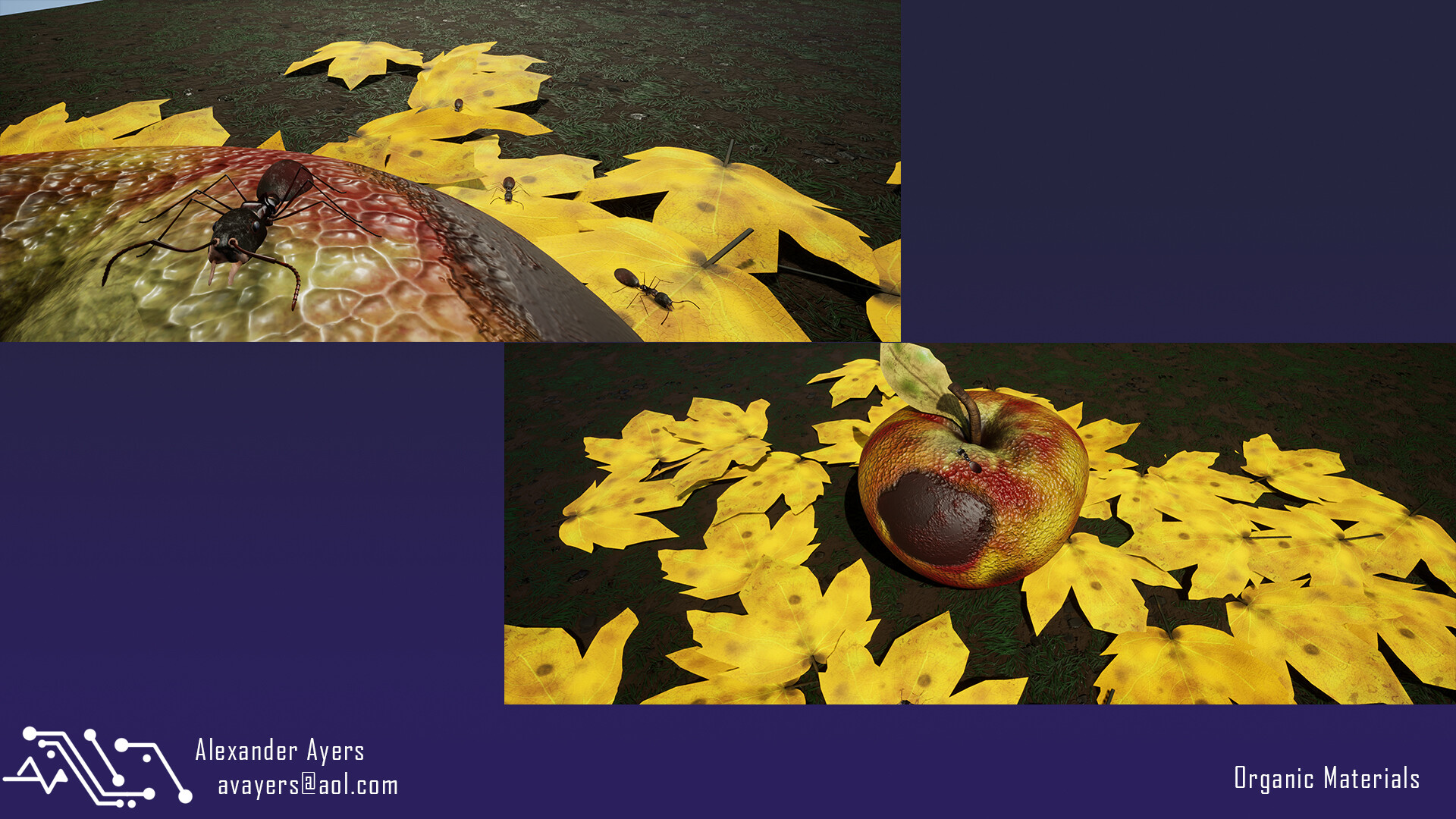 Alexander Ayers - Live Materials First Works