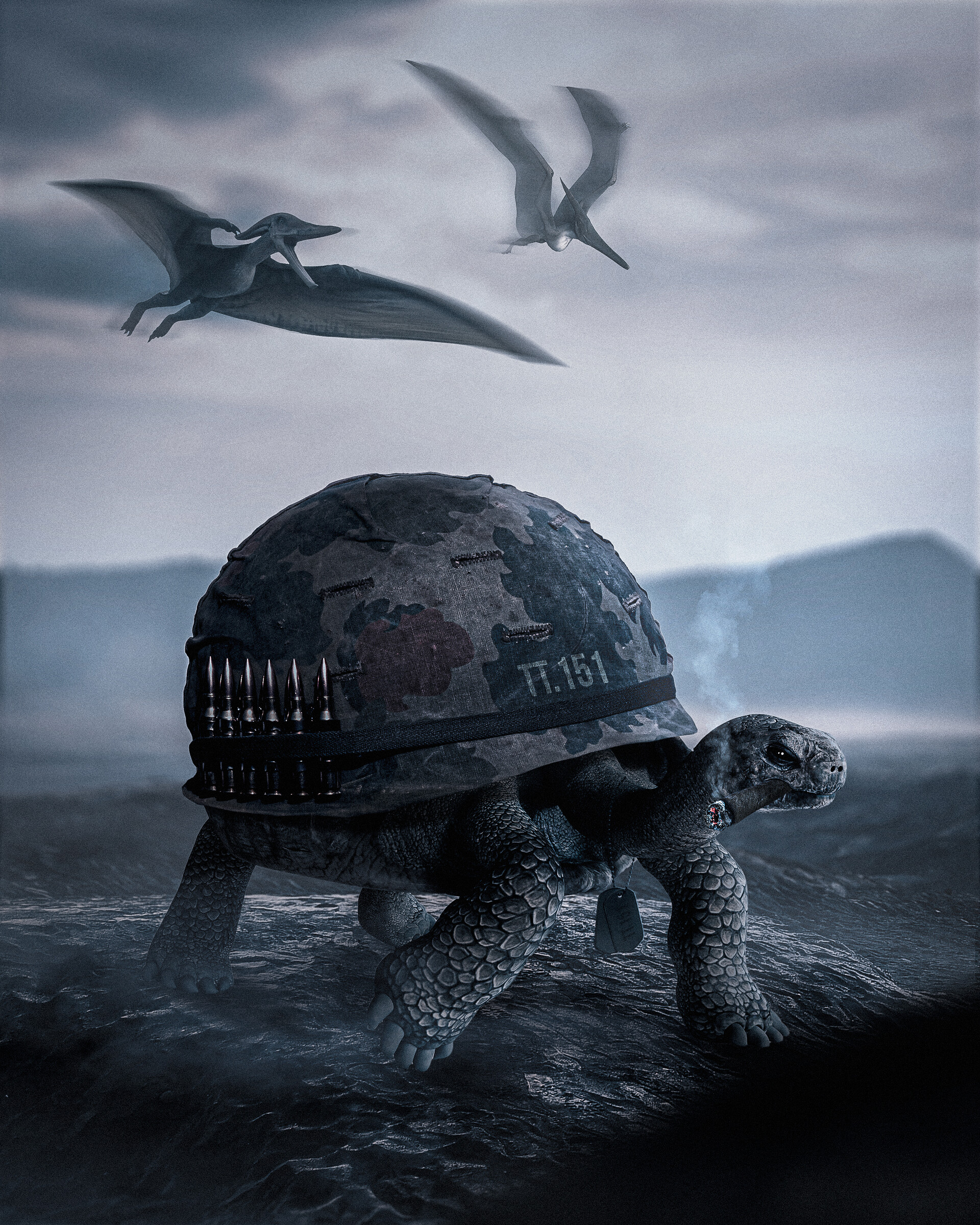 Fitrix Studio - Soldier Turtle