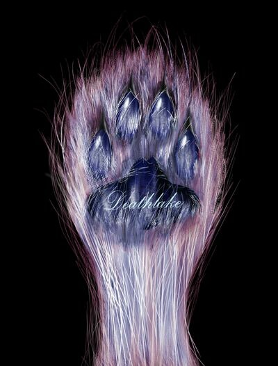 ArtStation - Cat demon zombie Paw beans