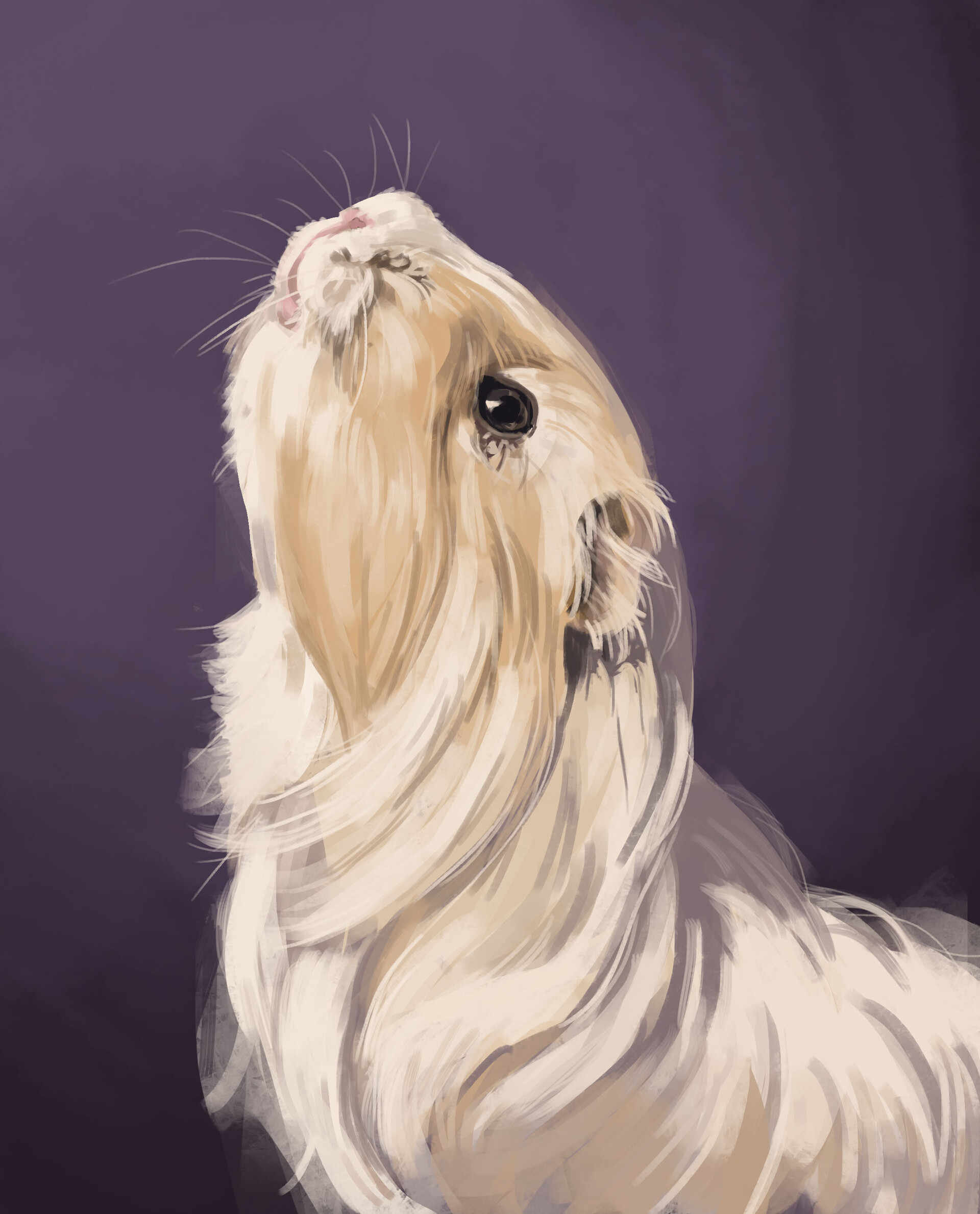 ArtStation - Guinea pig