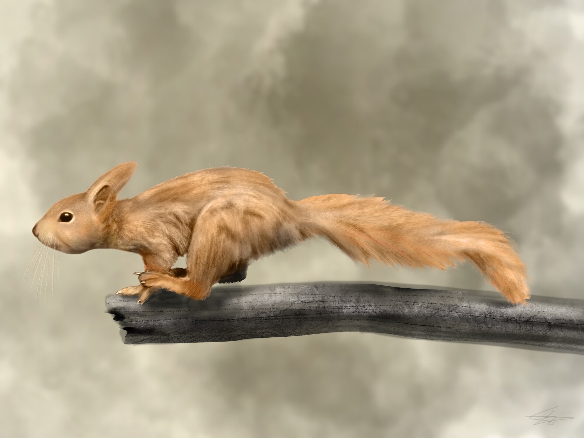 ArtStation - Squirel