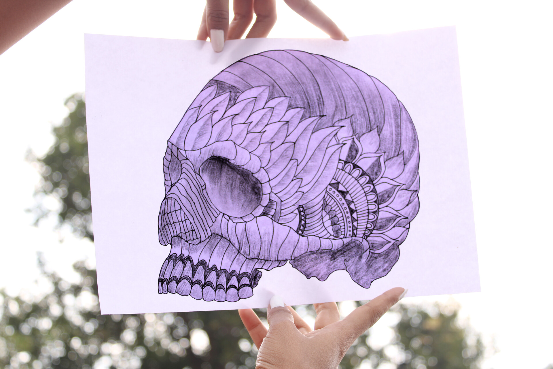 ArtStation - skull sketch