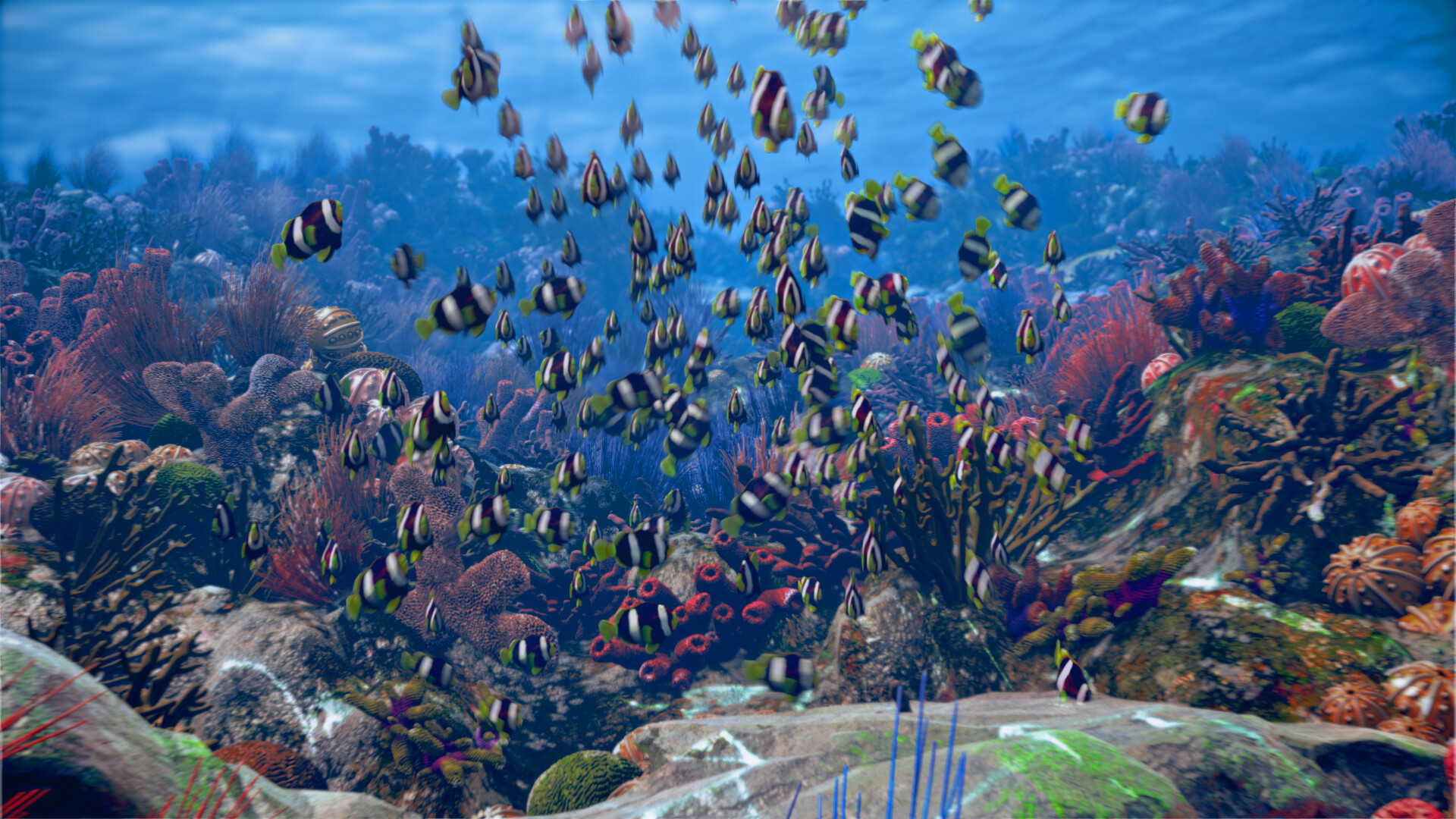 Rodrigo Braga - Deep to Reef / China