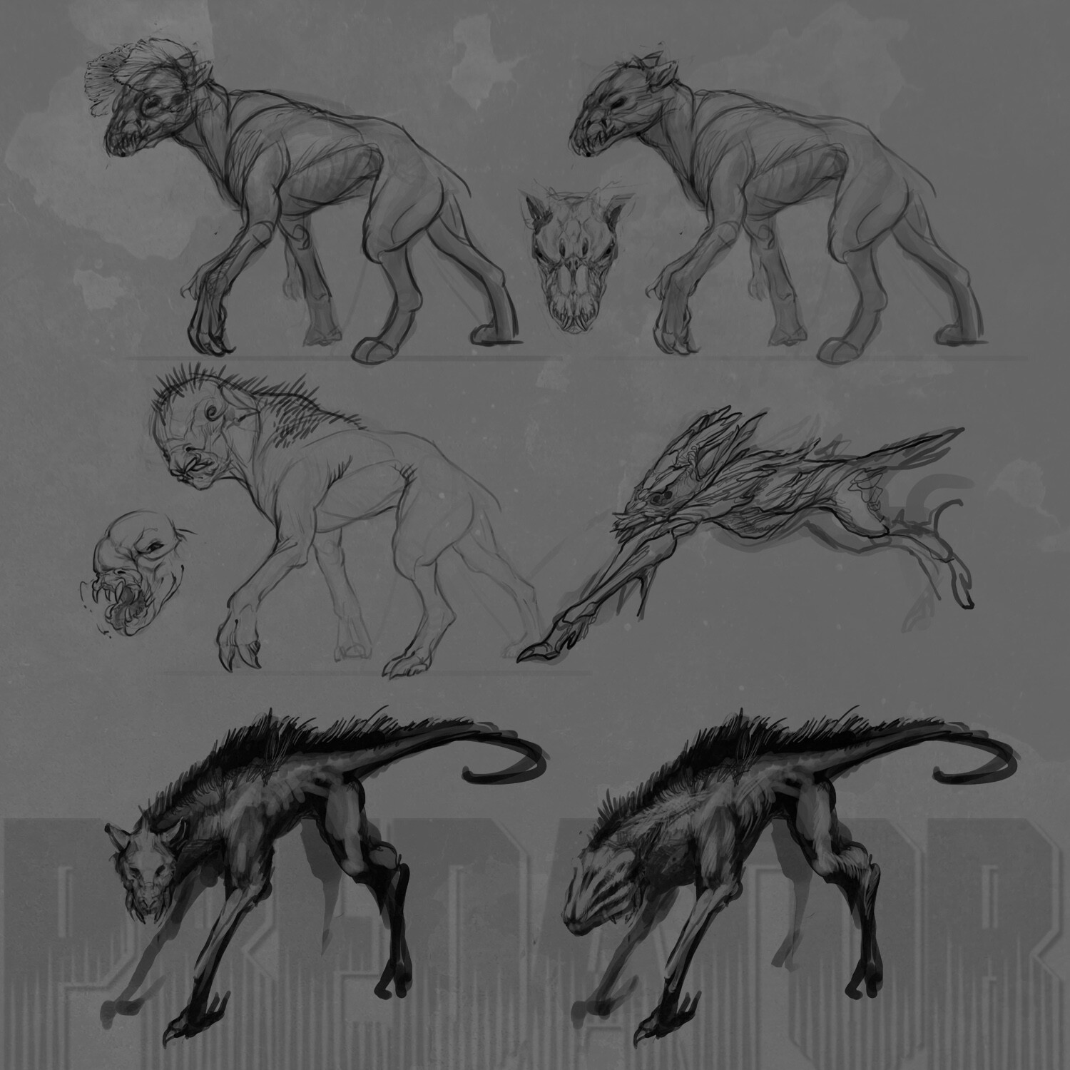 Jordan Morris - The Predator 2018