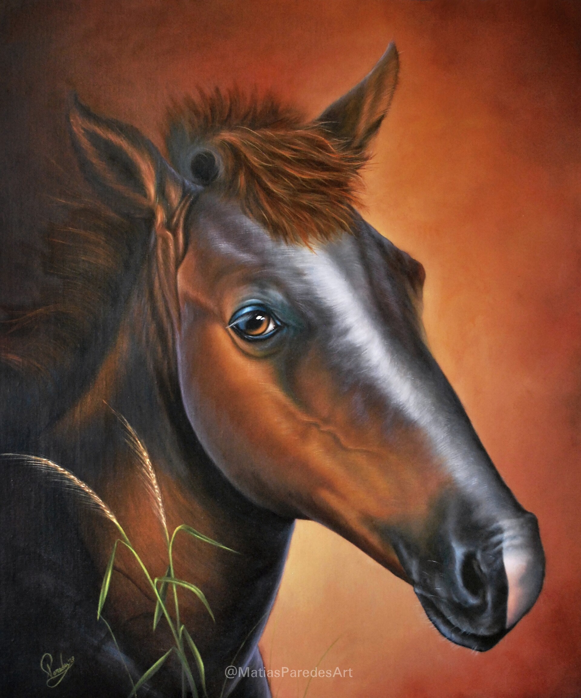 ArtStation - El Potrillo de Andres