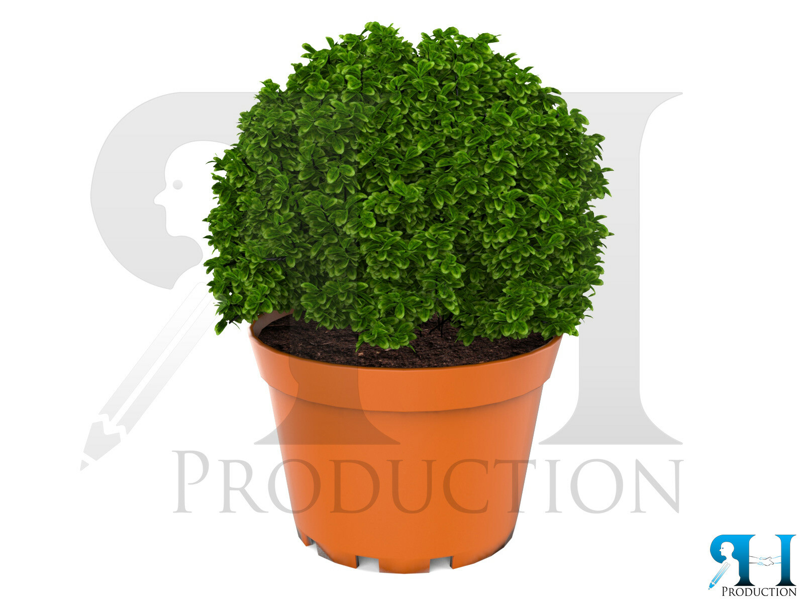 ArtStation - Customize Plant Model And Rendering