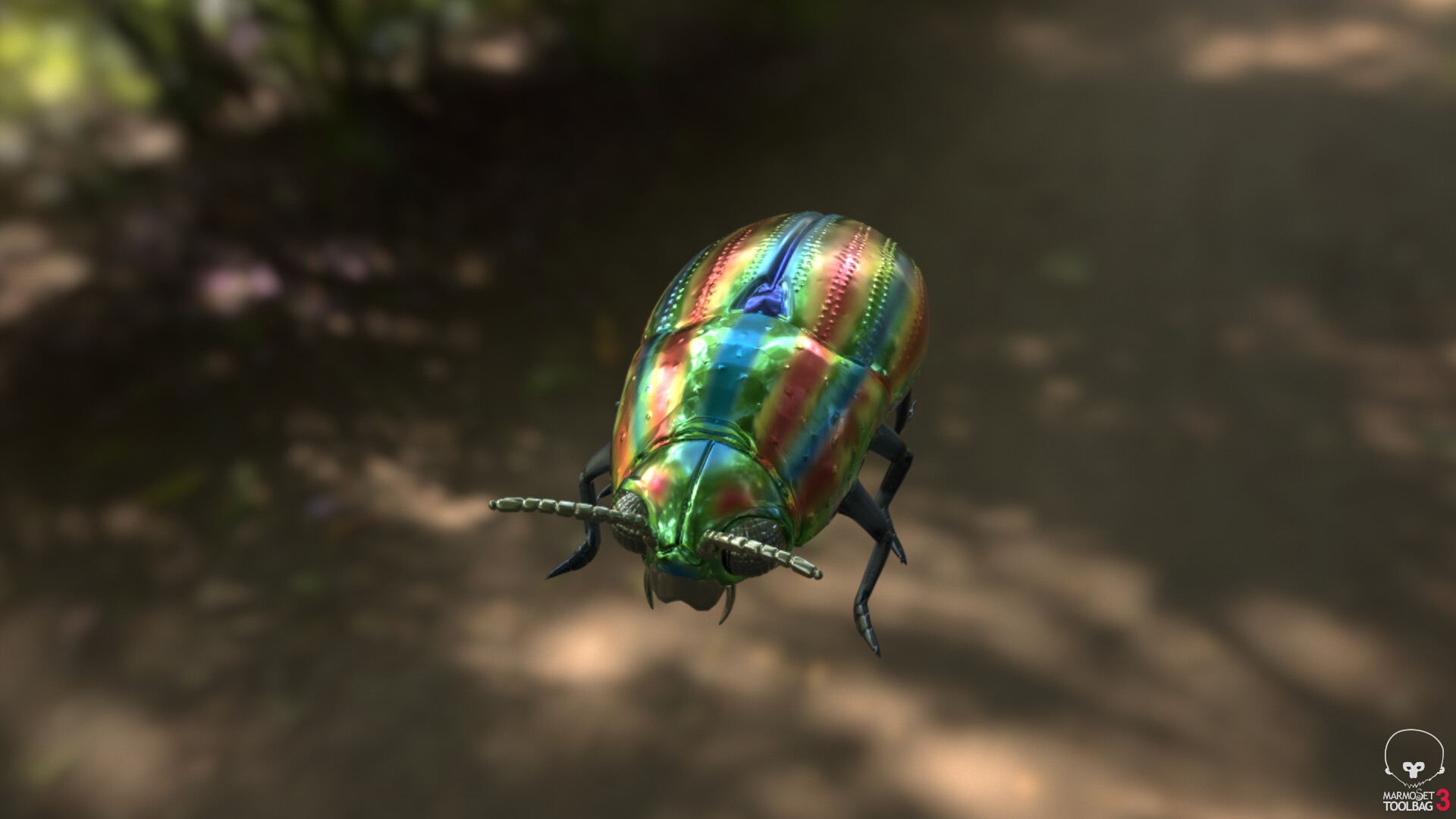Rainbow Leaf Beetle