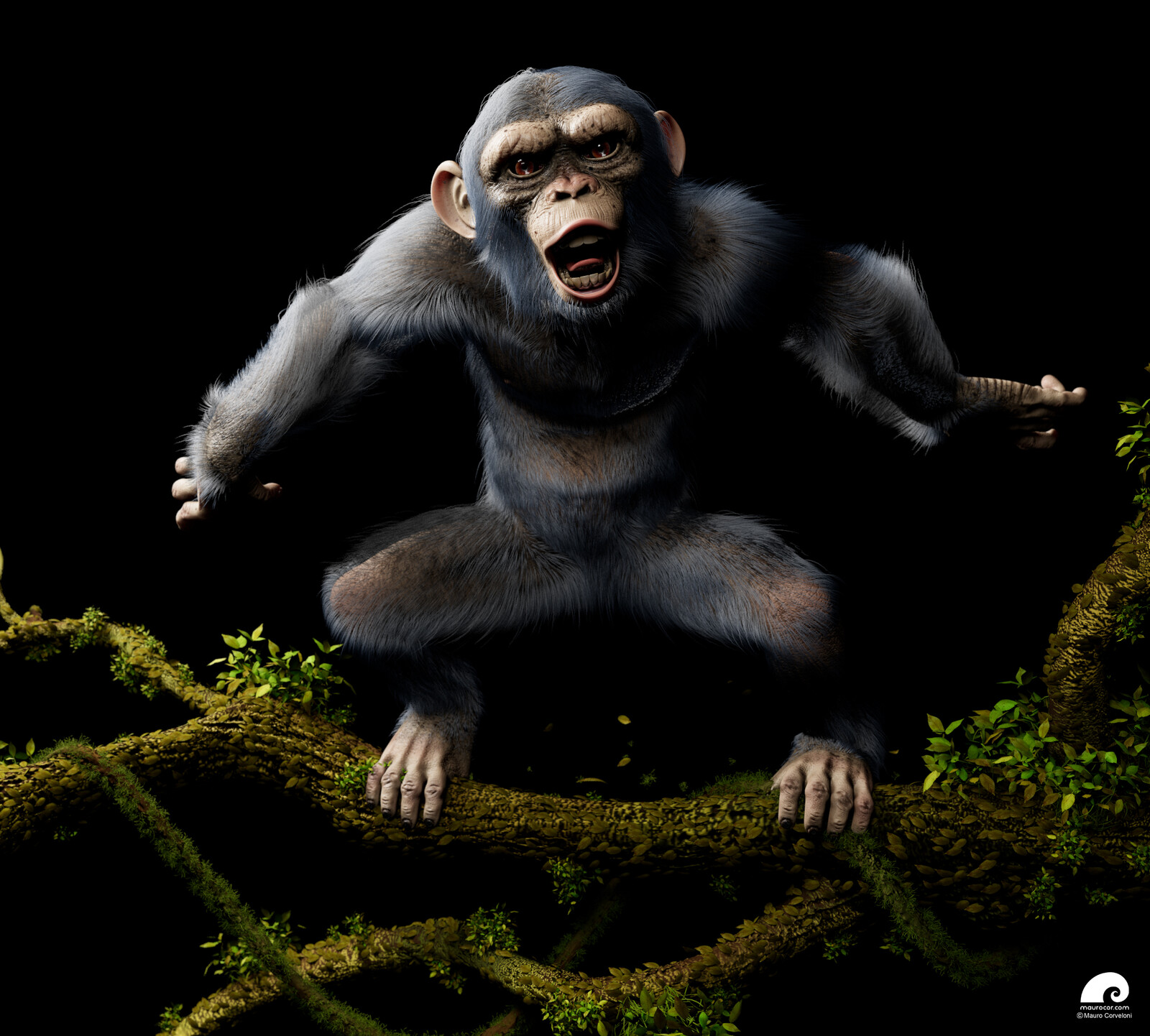 mauro corveloni - Angry chimp