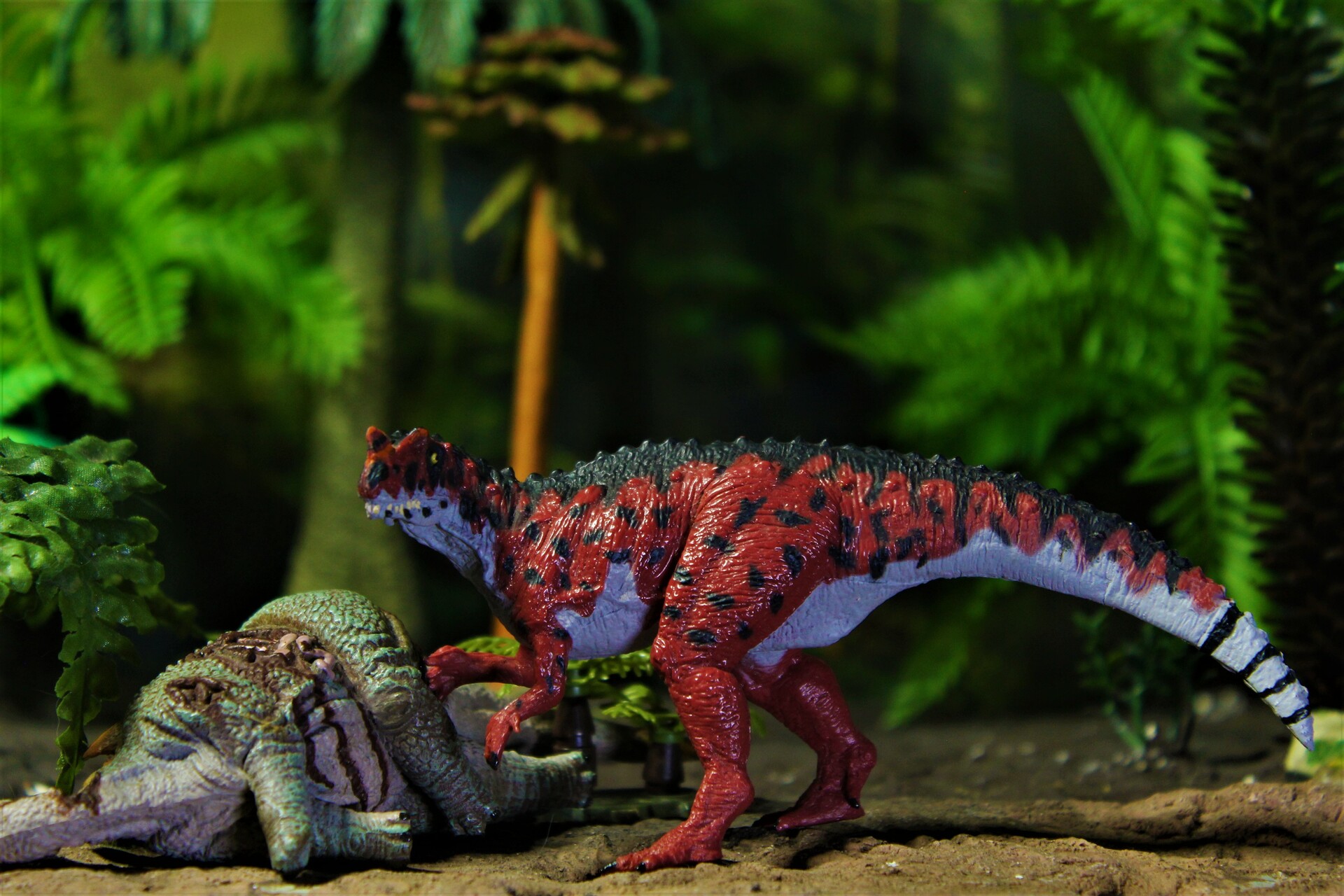 Jose R. Vazquez Rodriguez - Dan LoRusso Collection