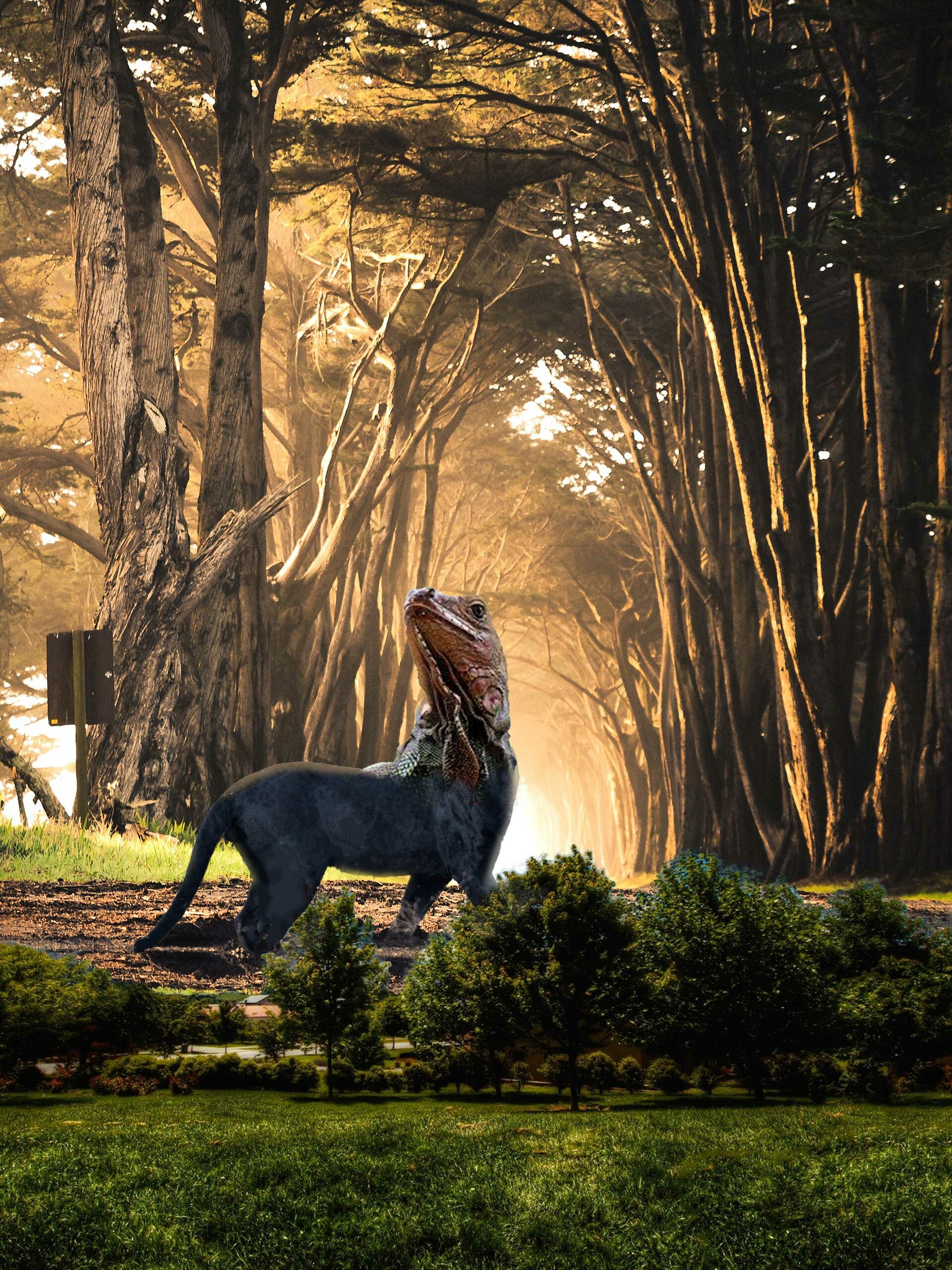 ArtStation - Hybrid animal in its surroundings