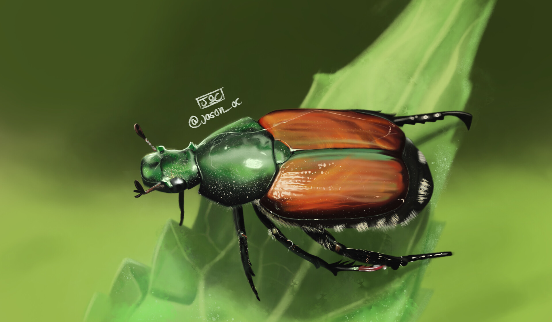ArtStation - Japanese Beetle