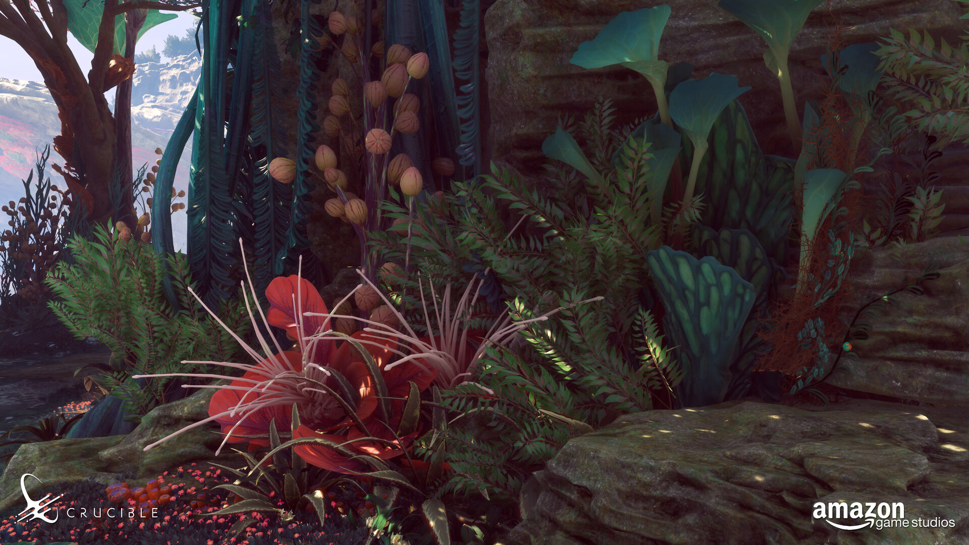 Nathan Gregory-Ito - Crucible - Other Regions