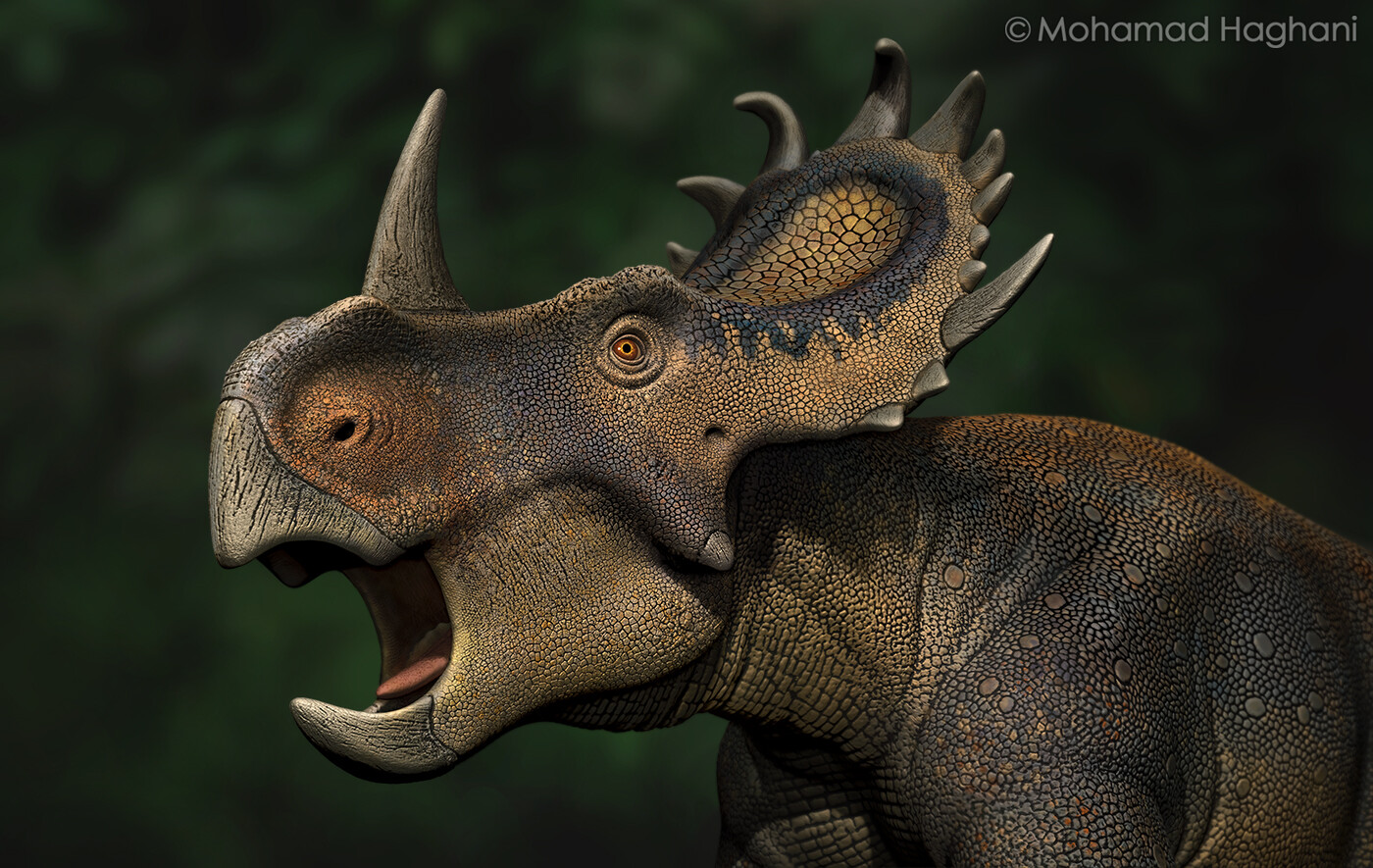 ArtStation - Sinoceratops
