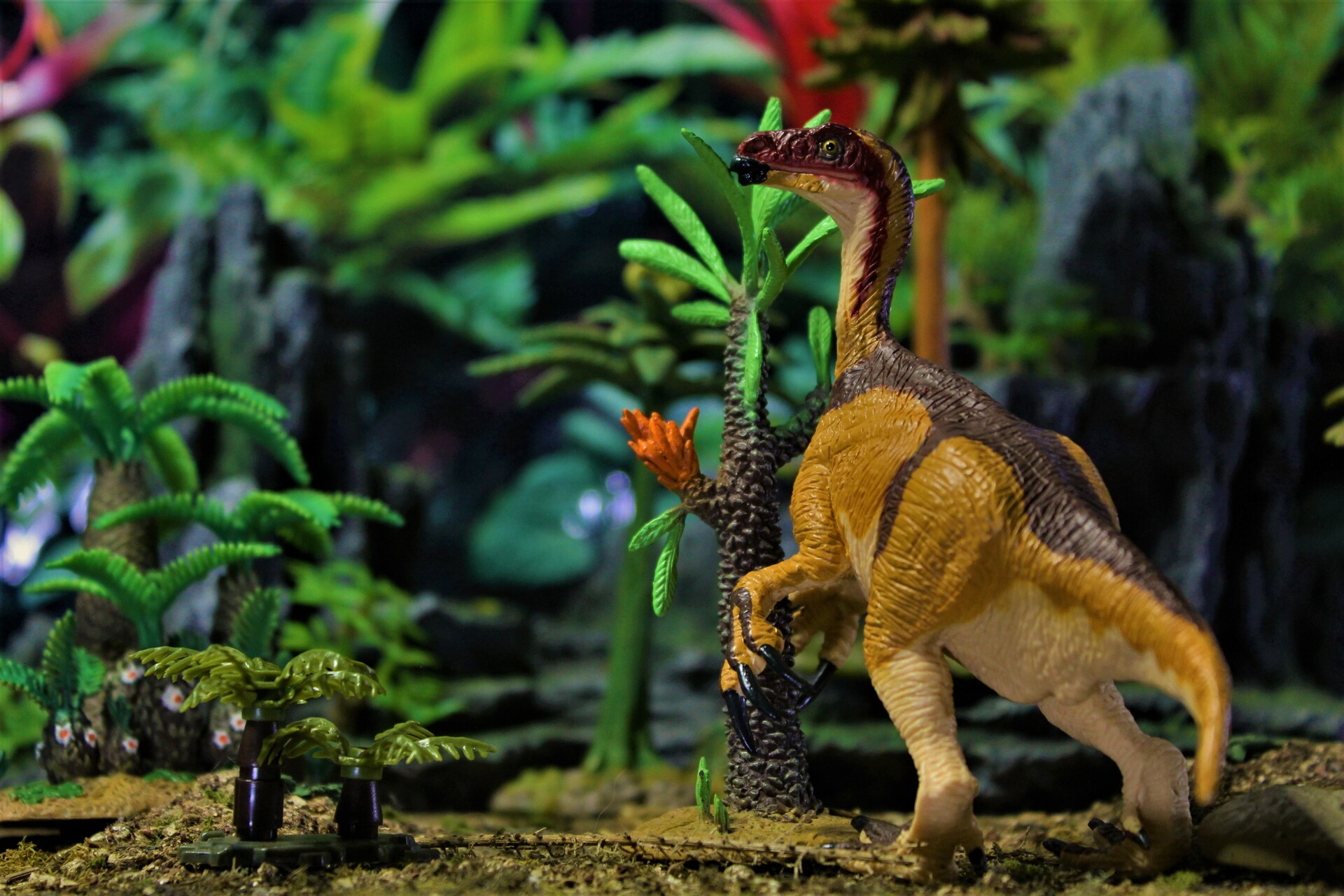 Jose R. Vazquez Rodriguez - Dan LoRusso Collection