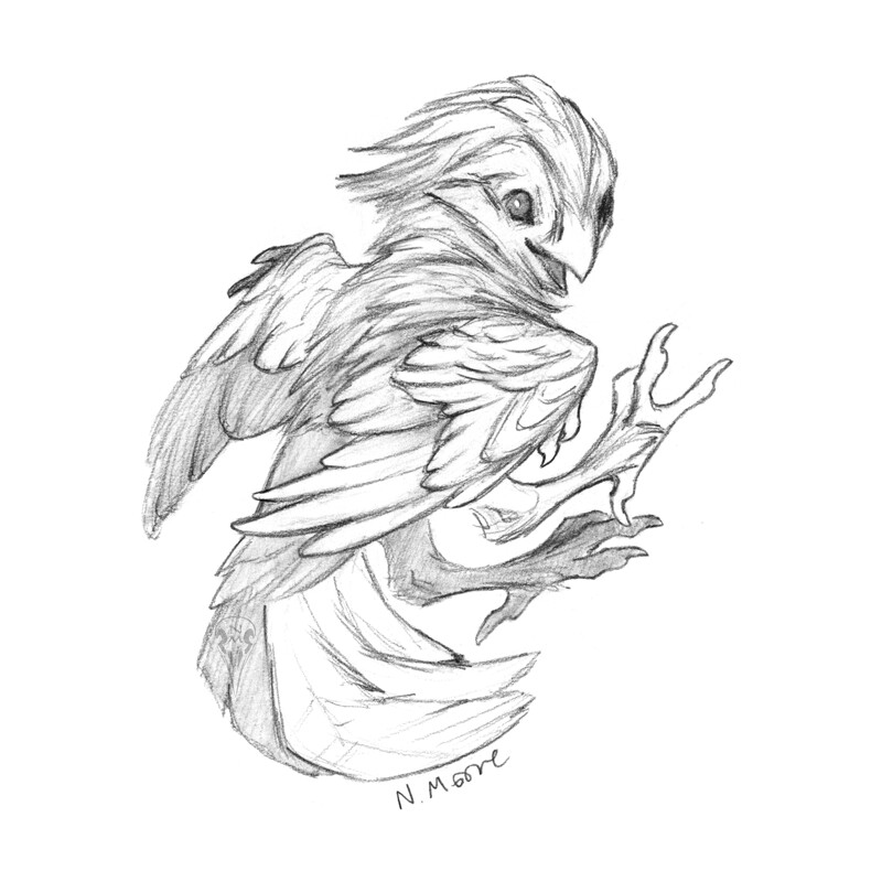 Natasha Moore - Trillo Paintings